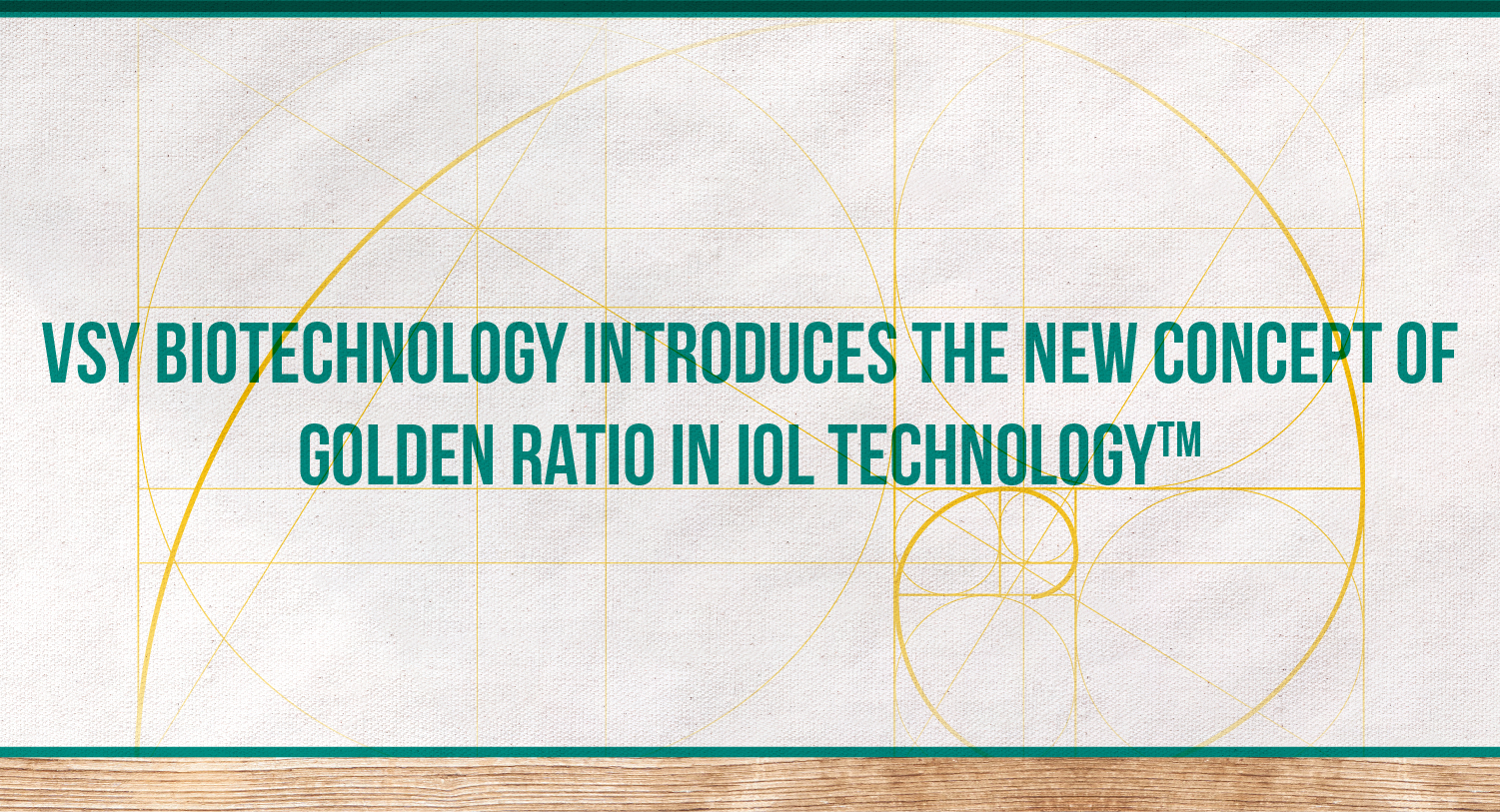 VSY Biotechnology GmbH